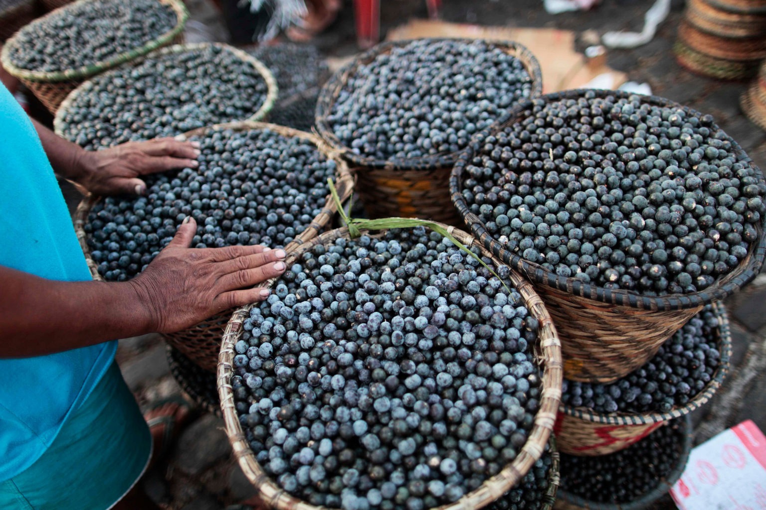 Frozen Açai Purée | Açai Berry Purée | Acai Life